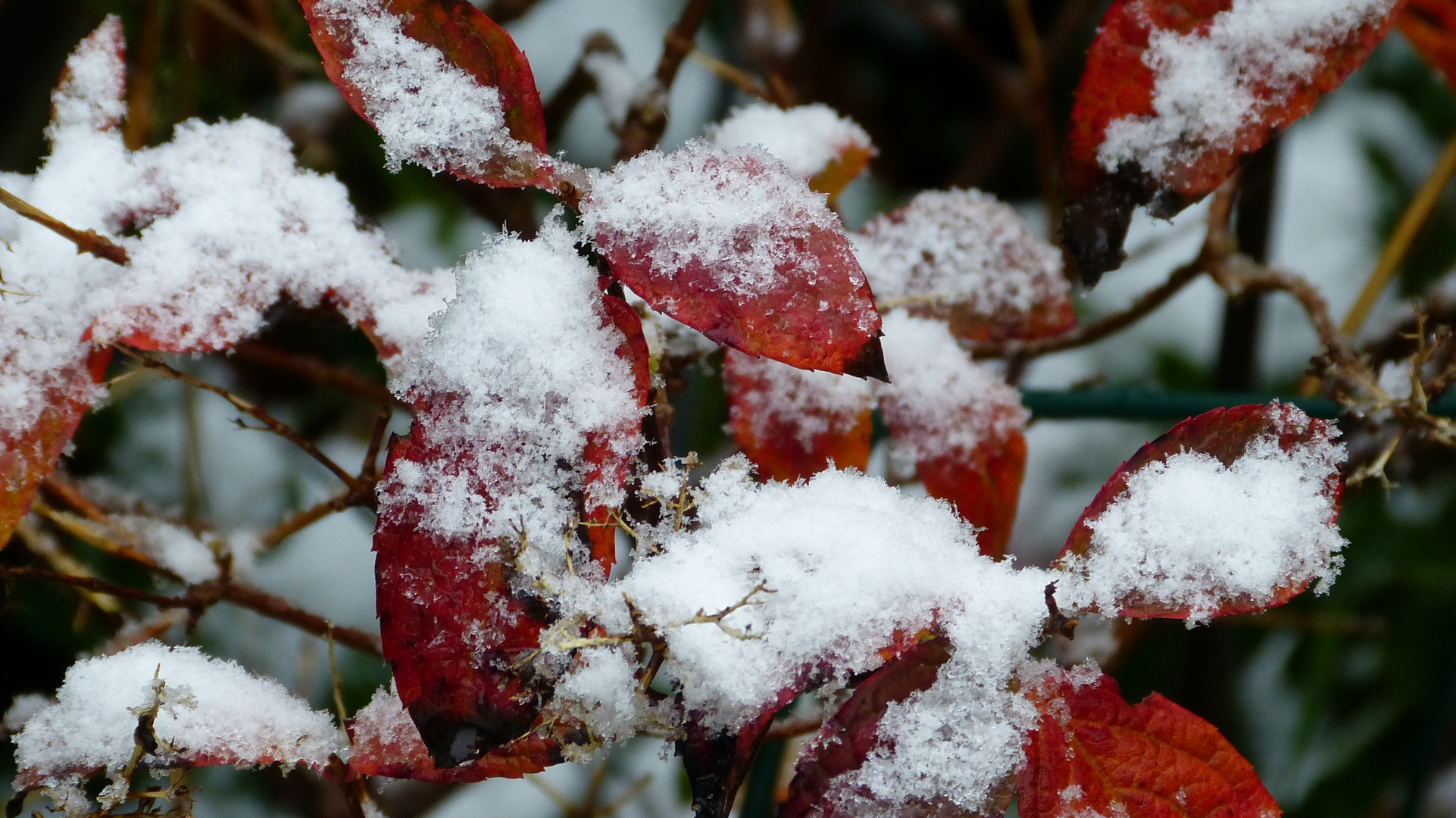 Winter Foto & Bild | jahreszeiten, winter, jahreszeit Bilder auf fotocommunity