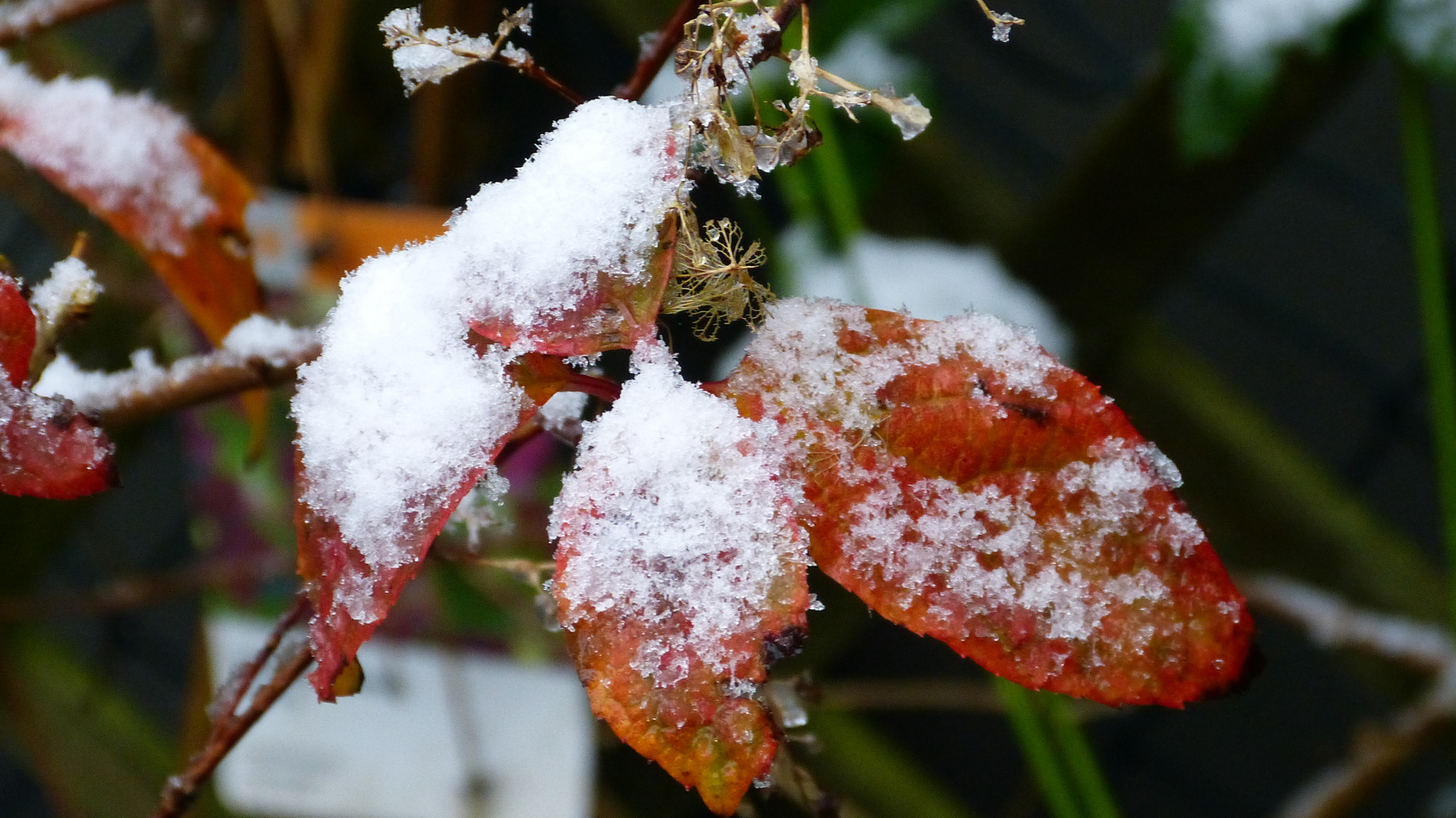 Winter Foto & Bild | jahreszeiten, winter, jahreszeit Bilder auf fotocommunity