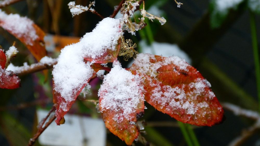 Winter Foto & Bild | jahreszeiten, winter, jahreszeit Bilder auf fotocommunity