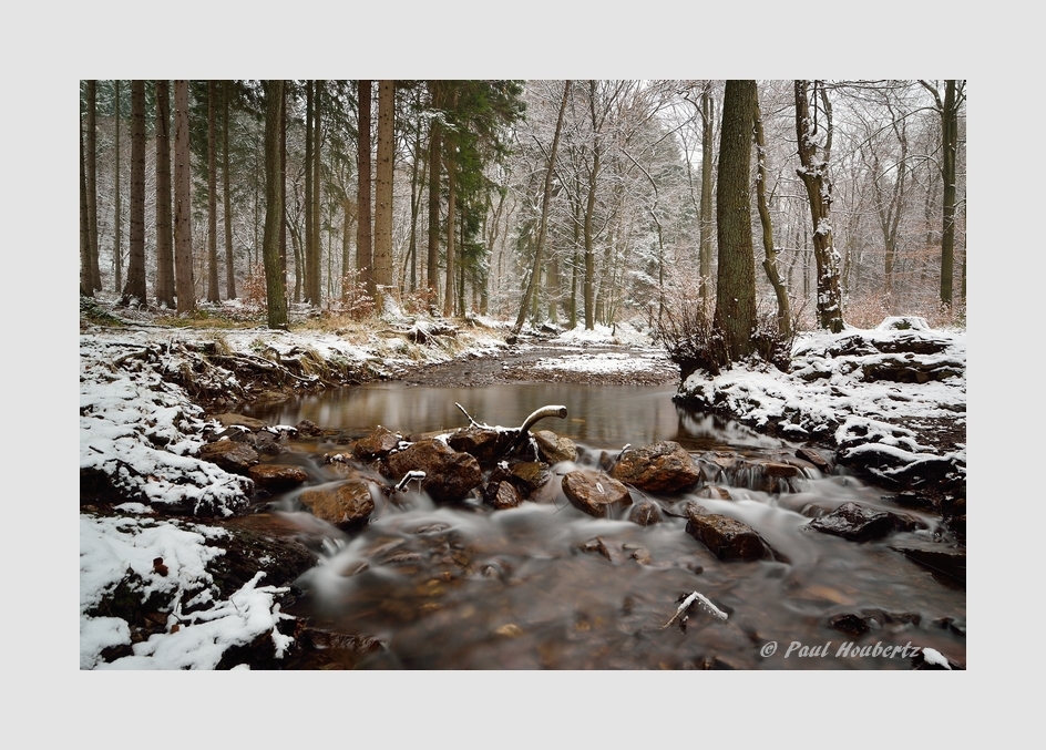 Winter Foto & Bild | jahreszeiten, winter, fotos Bilder auf fotocommunity