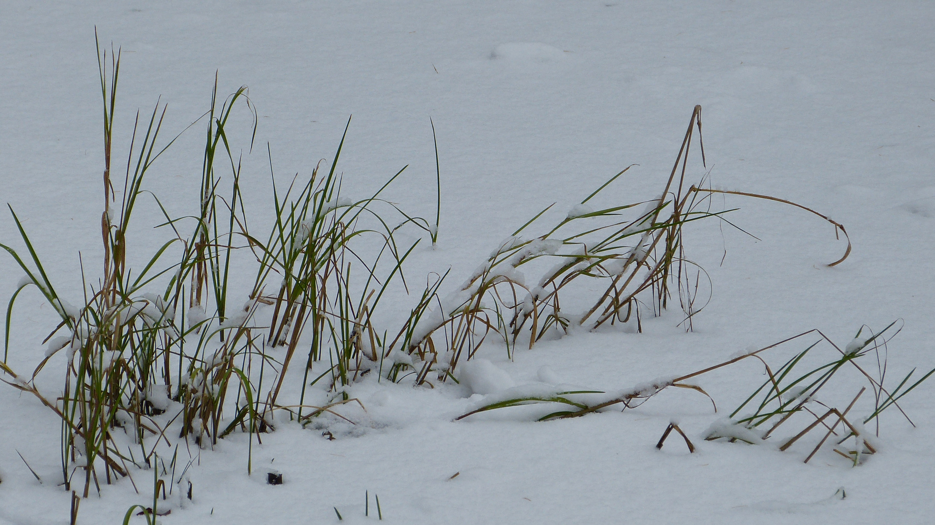 Winter Foto & Bild | jahreszeiten, winter, jahreszeit Bilder auf fotocommunity