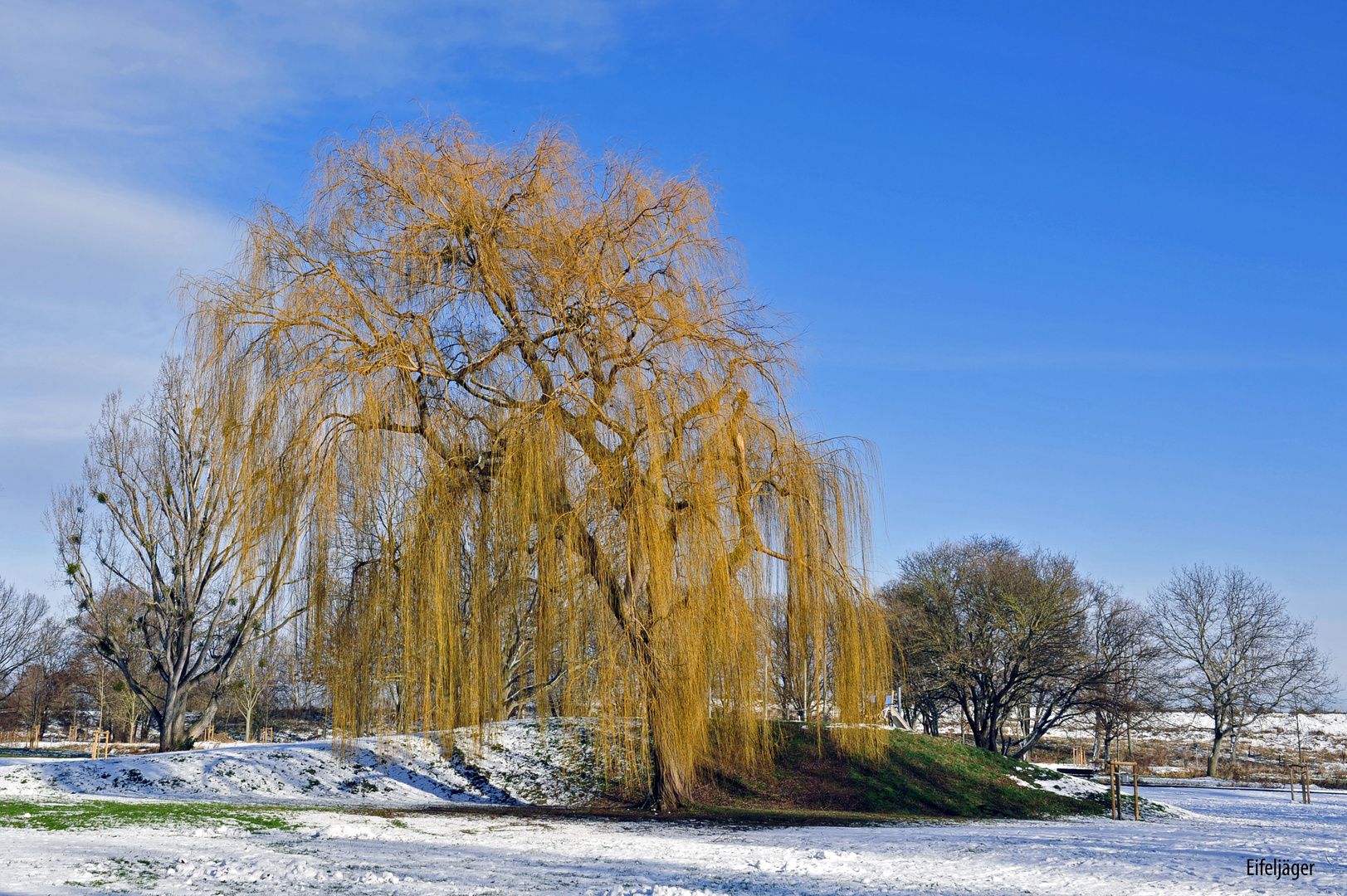 WINTER Foto & Bild | jahreszeiten, winter, verschiedenes Bilder auf fotocommunity