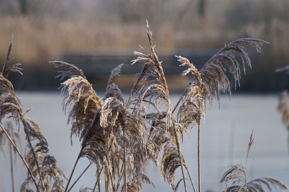 Winter Foto & Bild | jahreszeiten, winter, natur Bilder auf fotocommunity