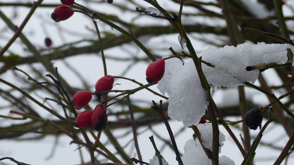 Winter Foto & Bild | jahreszeiten, winter, jahreszeit Bilder auf fotocommunity