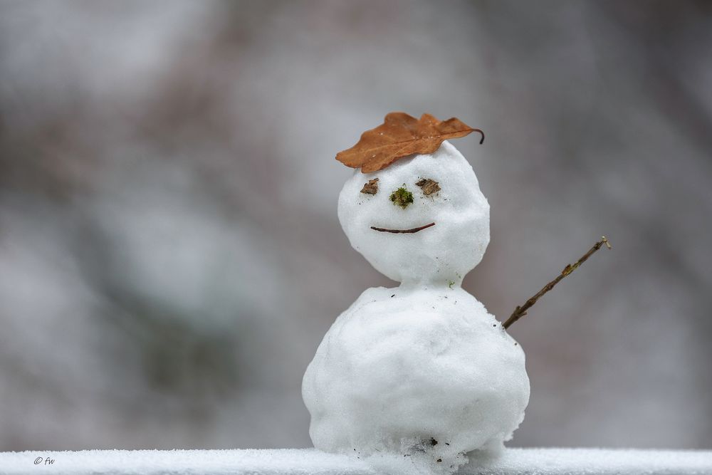 Winter ,ade Foto & Bild | jahreszeiten, winter, natur Bilder auf fotocommunity