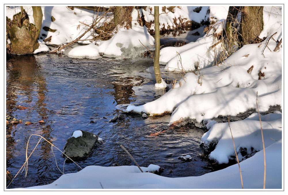 Winter am Bach II .. | Edith Vogel Fotografie