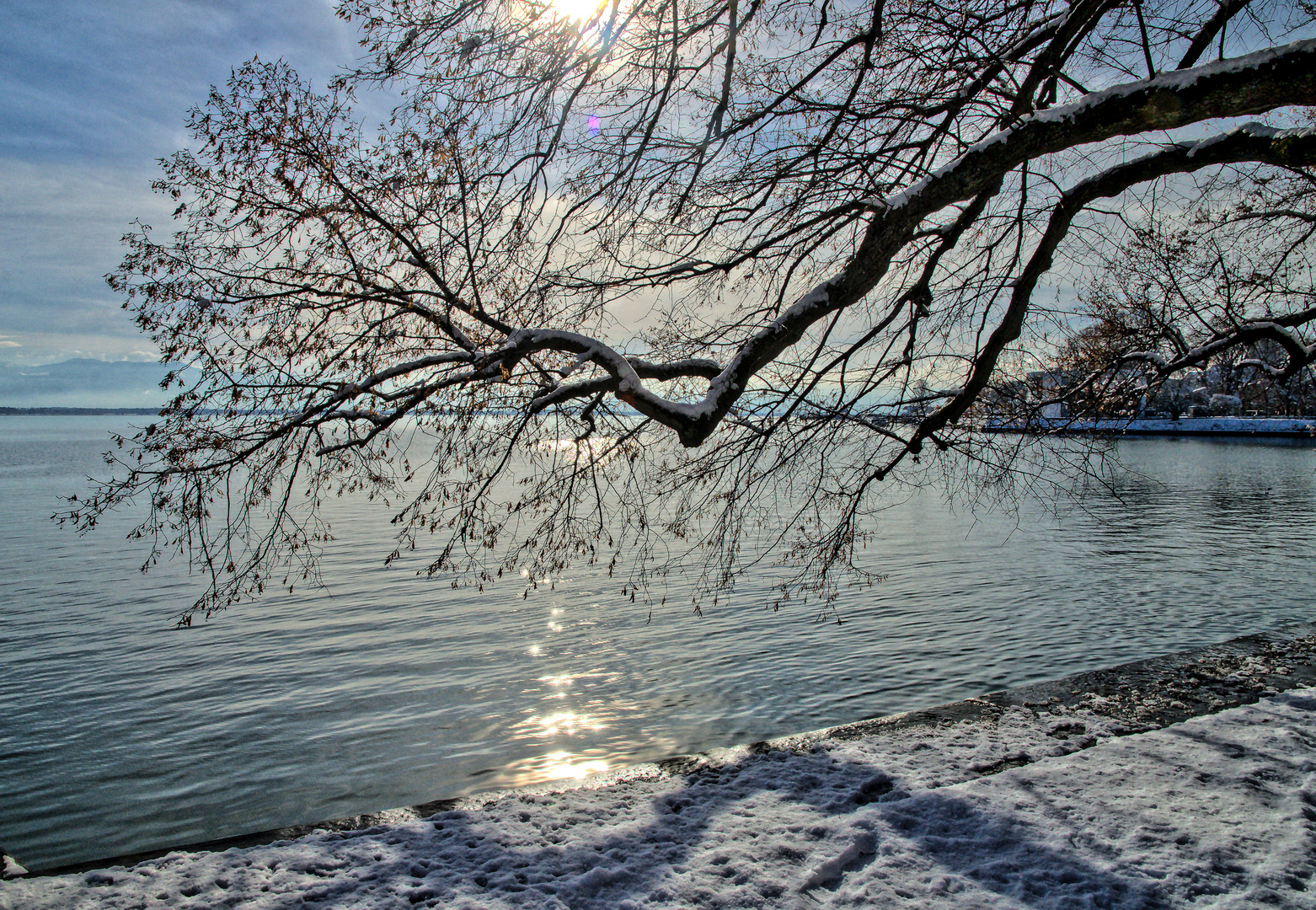 Winter am Bodensee Foto & Bild | world, wasser, sonne Bilder auf fotocommunity