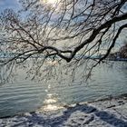 Winter am Bodensee Foto & Bild | world, wasser, sonne Bilder auf fotocommunity