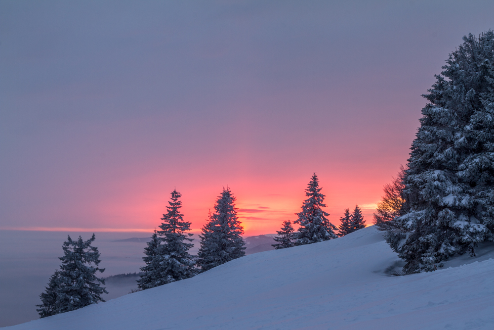 Winter am Feldberg Foto & Bild | winter, natur, landschaft Bilder auf fotocommunity