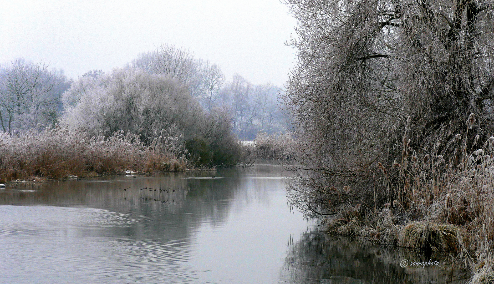 Winter am Fluss Foto & Bild | kalt, bäume, natur Bilder auf fotocommunity