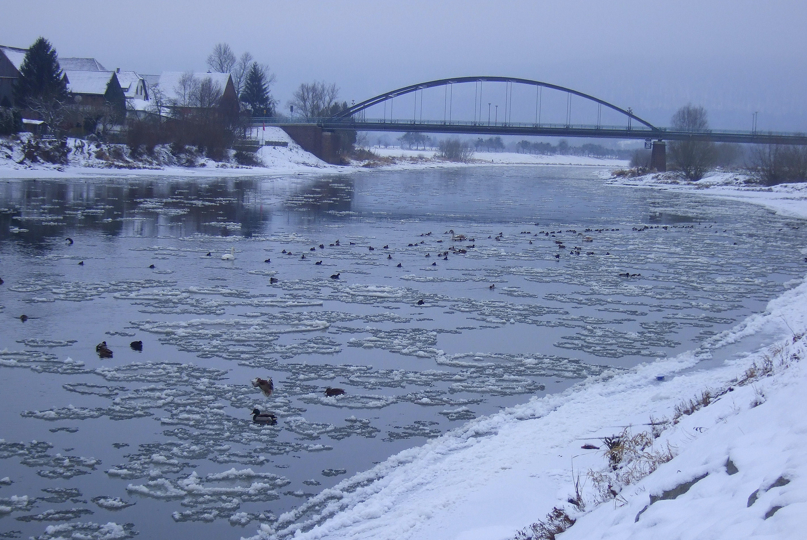 -Winter am Fluß- Foto & Bild | jahreszeiten, winter, natur Bilder auf fotocommunity