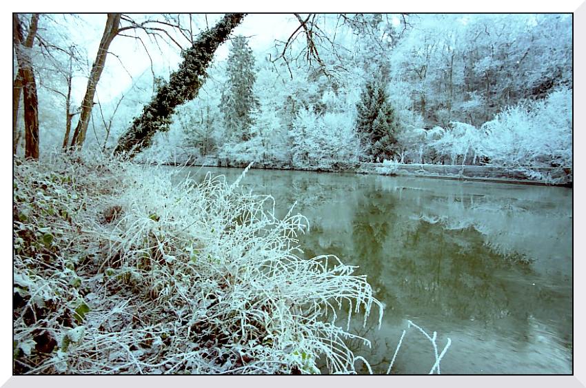 Winter am Fluß Foto & Bild | jahreszeiten, winter, natur Bilder auf fotocommunity