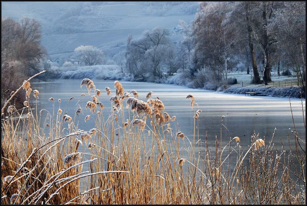 *Winter am Fluß II* Foto & Bild | deutschland, europe, rheinland-pfalz Bilder auf fotocommunity