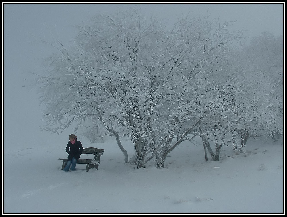 Winter am Kreuzberg (Rhön) Foto & Bild | jahreszeiten, winter, natur ...