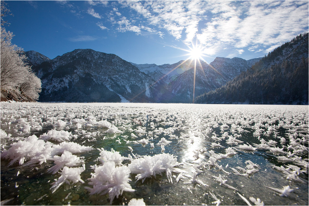 winter am plansee Foto & Bild | europe, Österreich, tirol Bilder auf ...