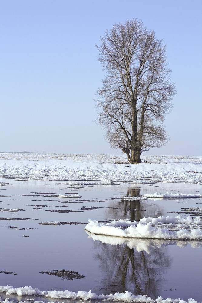 Winter an der Elbe Foto & Bild | jahreszeiten, winter, natur Bilder auf fotocommunity