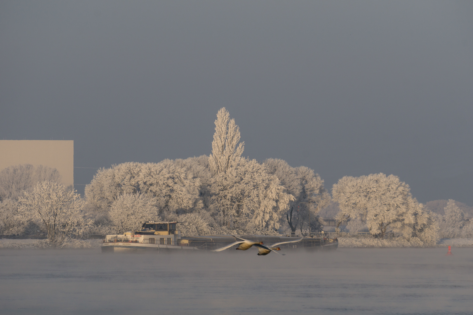 Winter an der Weser Foto & Bild | jahreszeiten, winter, weser Bilder auf fotocommunity