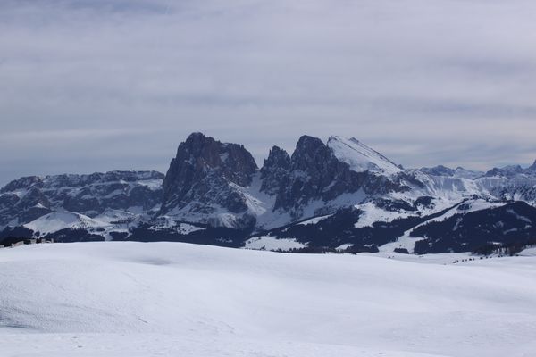 Winter Bilder & Fotos