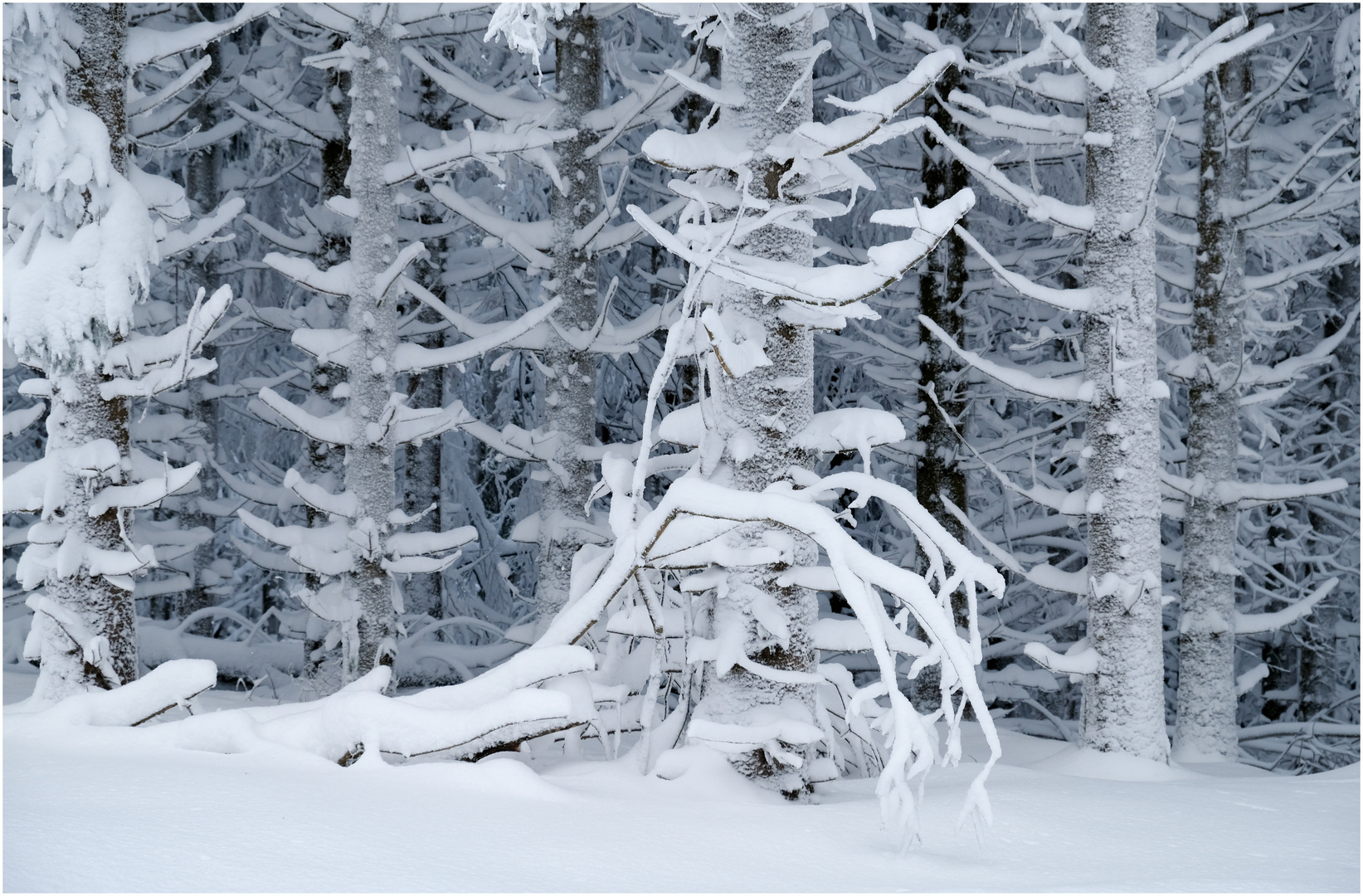 Winter Foto & Bild | landschaft, jahreszeiten, winter Bilder auf fotocommunity