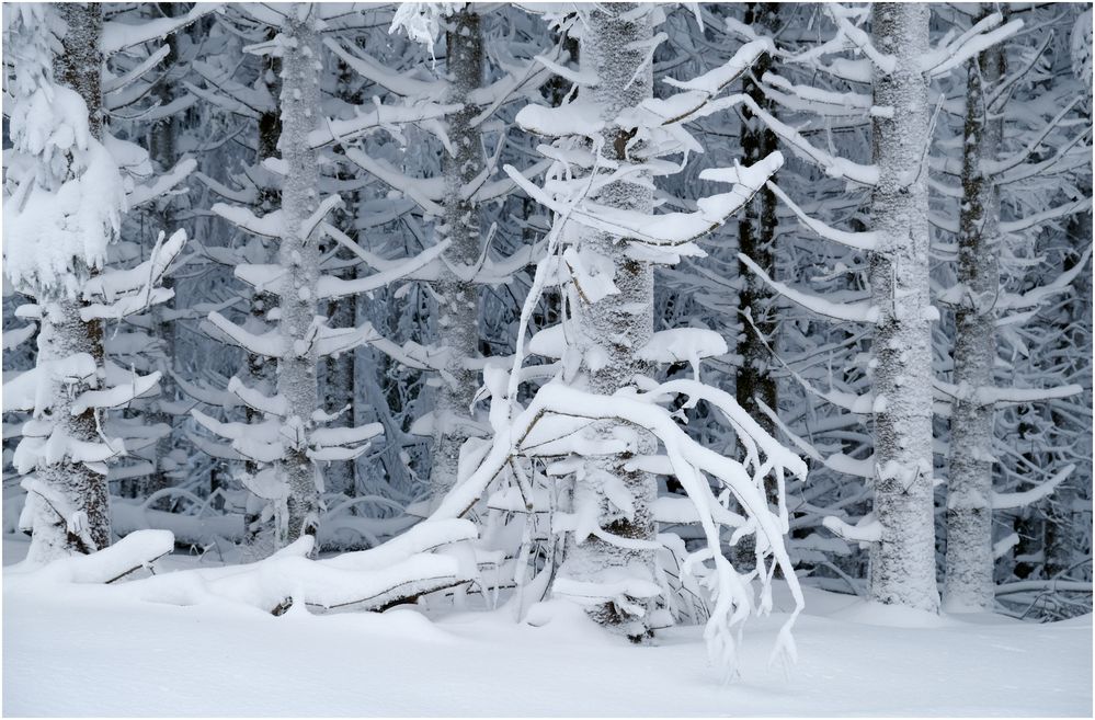 Winter Foto & Bild | landschaft, jahreszeiten, winter Bilder auf fotocommunity