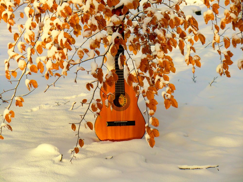 Winter Foto & Bild | jahreszeiten, winter, kunstfotografie & kultur Bilder auf fotocommunity