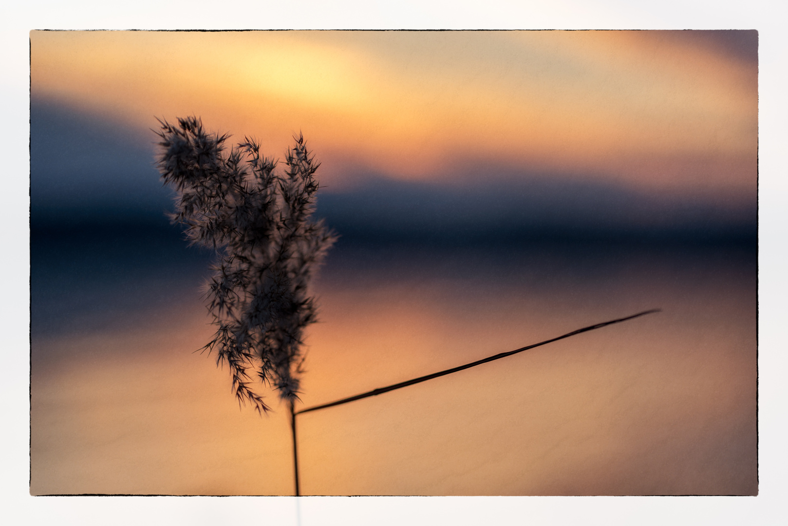 winter chill Foto & Bild | sonnenuntergang, makro, winter Bilder auf ...