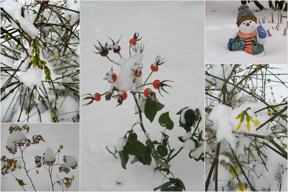Winter Foto & Bild | jahreszeiten, winter, motive Bilder auf fotocommunity