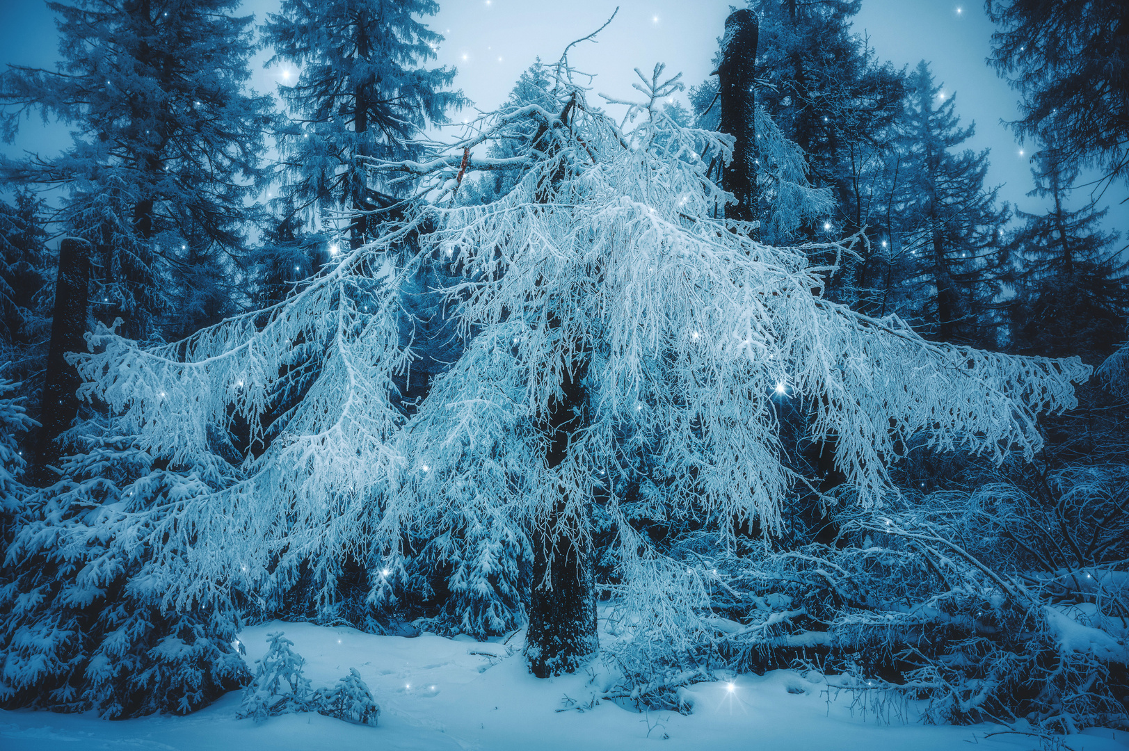 Winter Dream Foto & Bild | jahreszeiten, winter, fotos Bilder auf ...