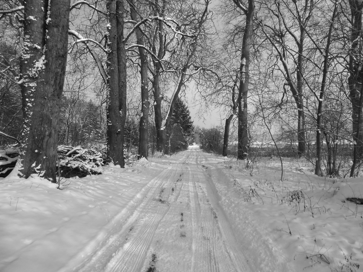 Winter Foto & Bild | landschaft, jahreszeiten, winter Bilder auf fotocommunity