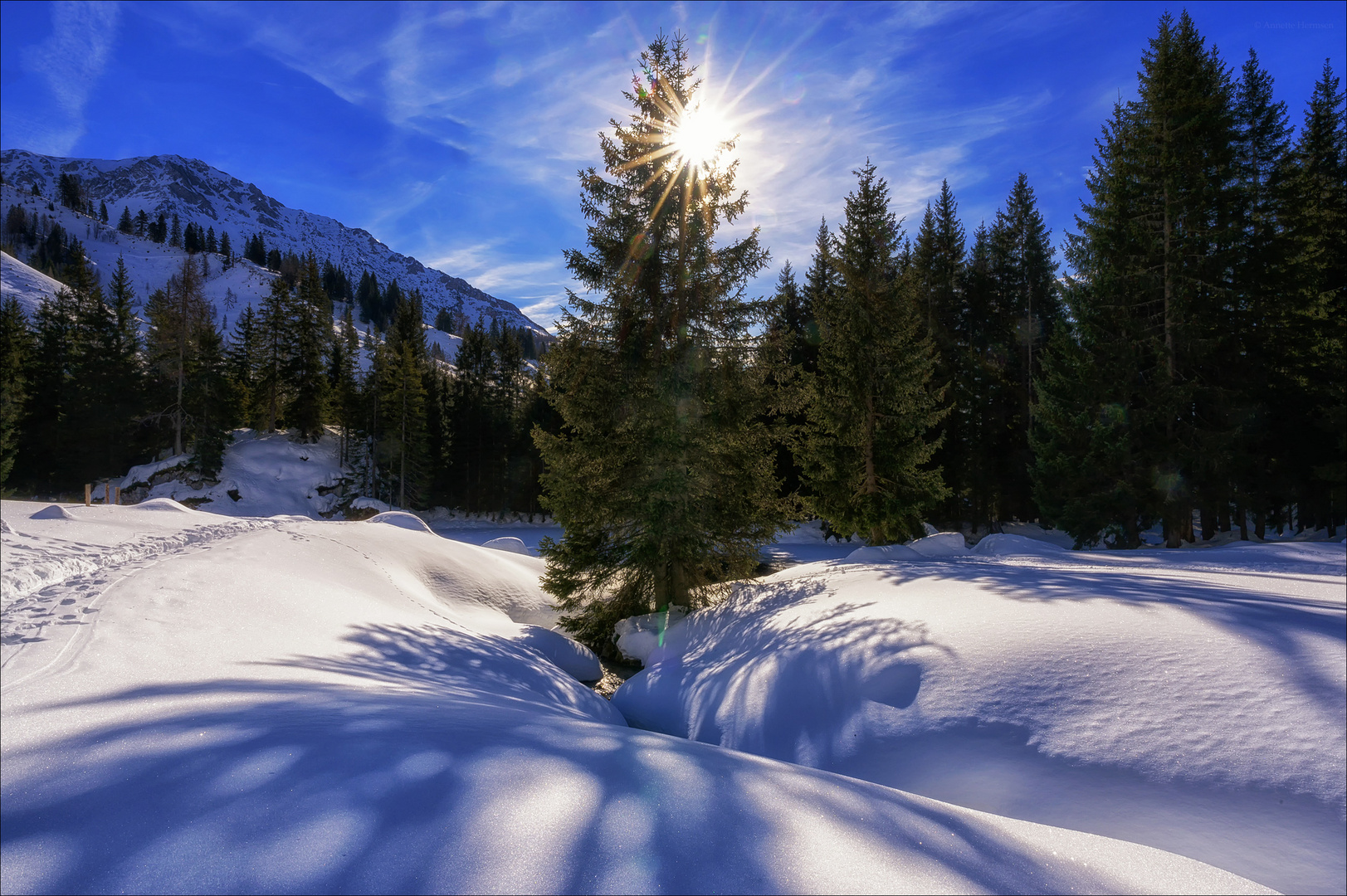 Winter Foto & Bild | nikon, world, outdoor Bilder auf fotocommunity