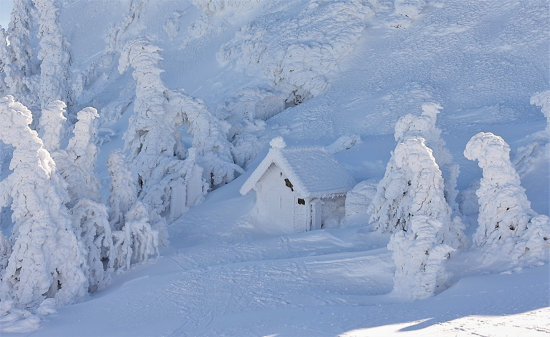 Winter Foto & Bild | monatswettbewerbe, 2023, 02: winter Bilder auf fotocommunity