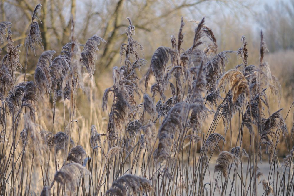 Winter Foto & Bild | jahreszeiten, winter, natur Bilder auf fotocommunity