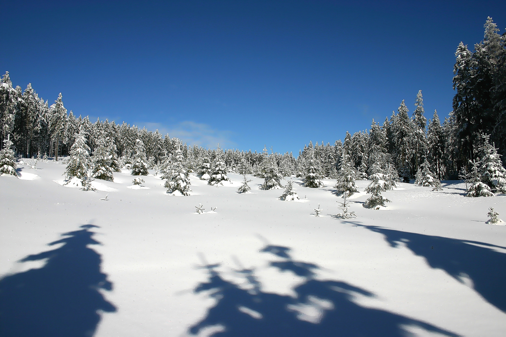 Winter im Harz Foto & Bild | jahreszeiten, winter, natur Bilder auf ...