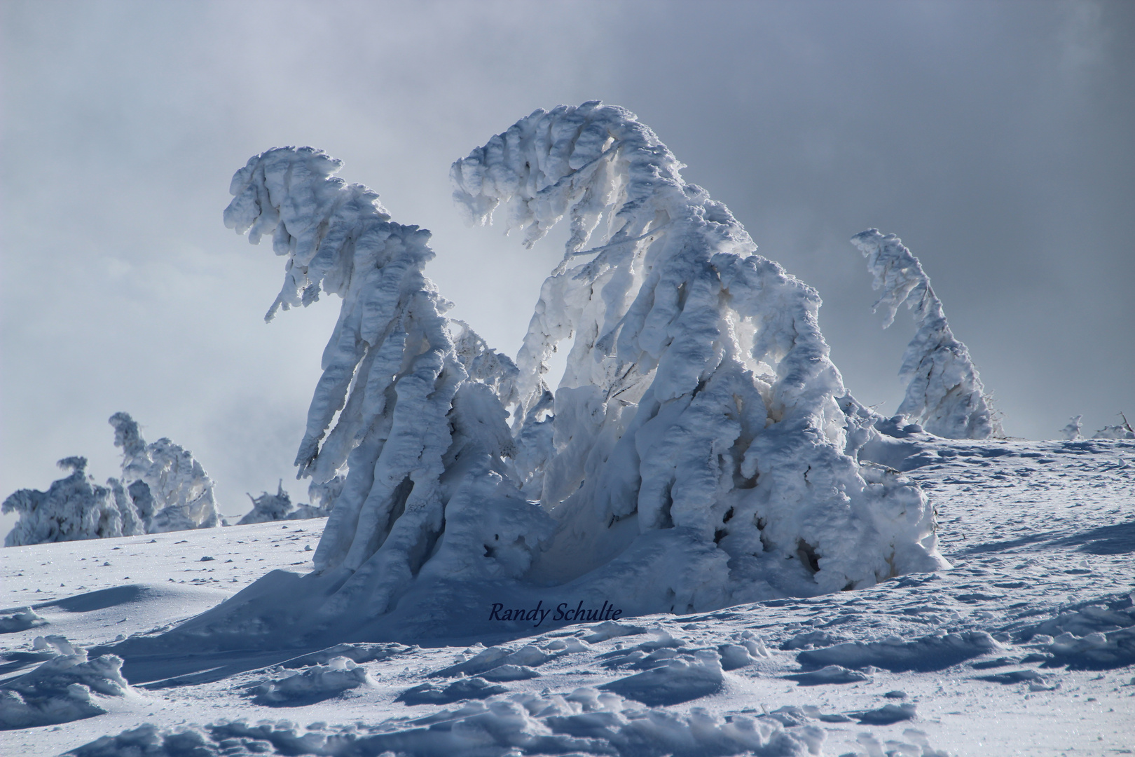 Winter im Harz Foto & Bild | jahreszeiten, winter, natur Bilder auf ...