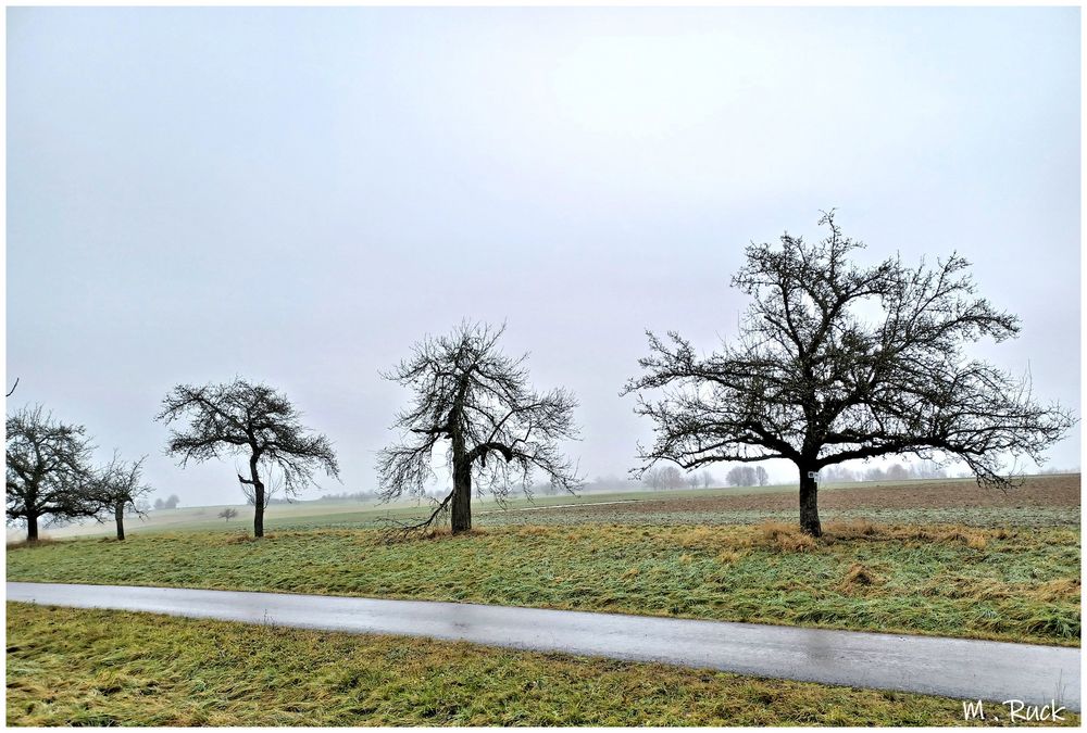 Winter im Januar 2023 Foto & Bild | landschaft, januar, bäume Bilder auf fotocommunity