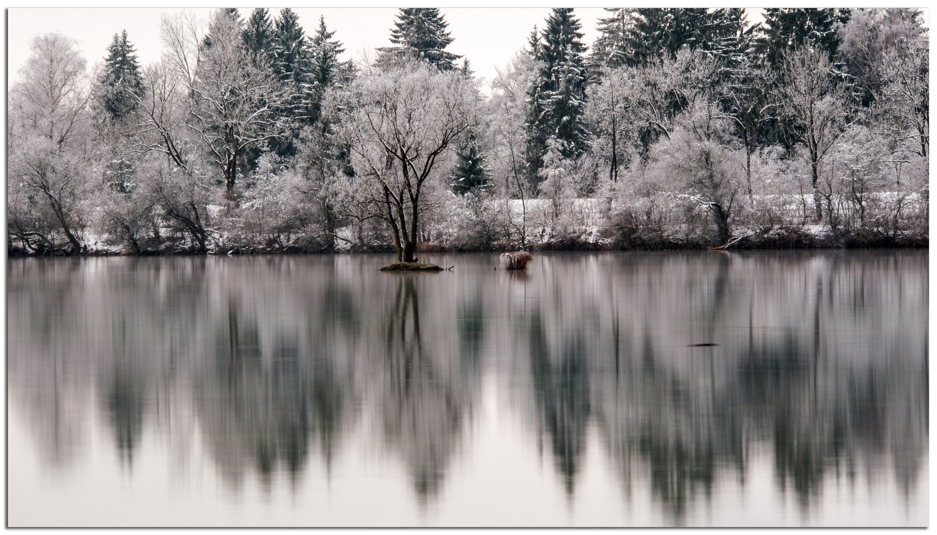 Winter Impressionen Foto & Bild | landschaft, seen, winter Bilder auf ...