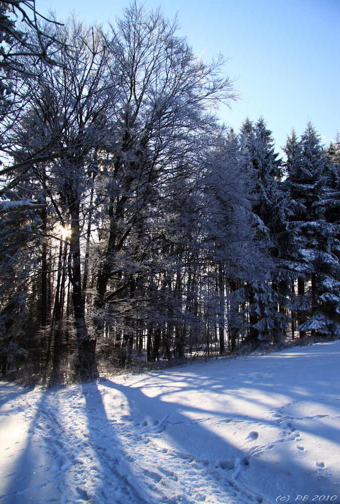 Winter-Impressionen Foto & Bild | jahreszeiten, winter, natur Bilder ...