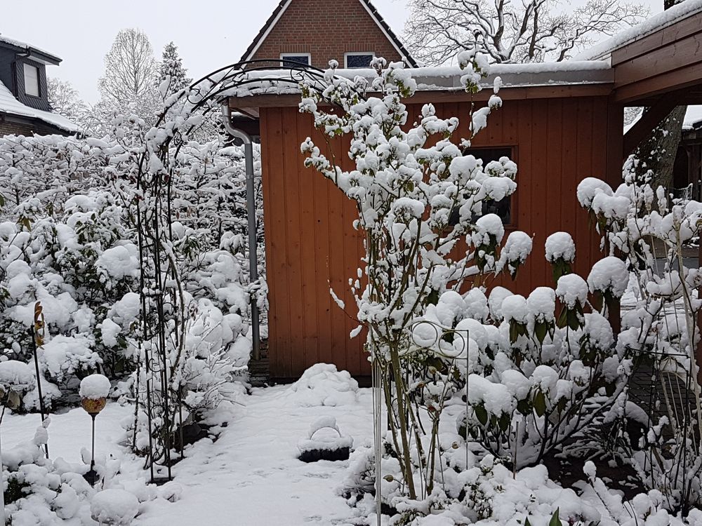 Winter in Ahrensburg 2022 Foto & Bild | jahreszeiten, winter, natur Bilder auf fotocommunity