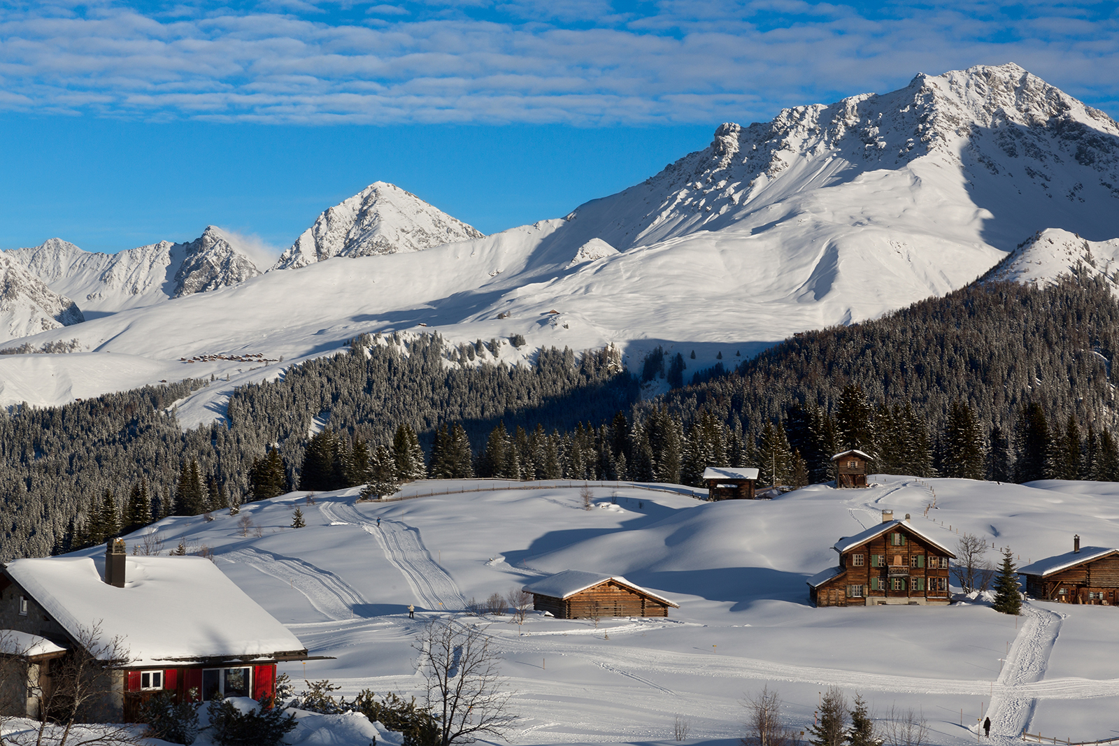 Winter in Arosa (Langlauf) Foto & Bild | landschaft, berge, gipfel und ...