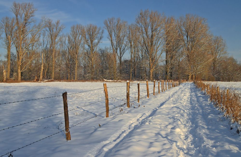 Winter in den Siegauen (3) Foto & Bild | landschaft, jahreszeiten, winter Bilder auf fotocommunity