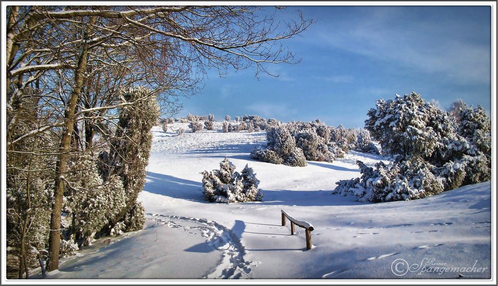 Winter in der Lüneburger Heide Foto & Bild | jahreszeiten, winter, natur Bilder auf fotocommunity