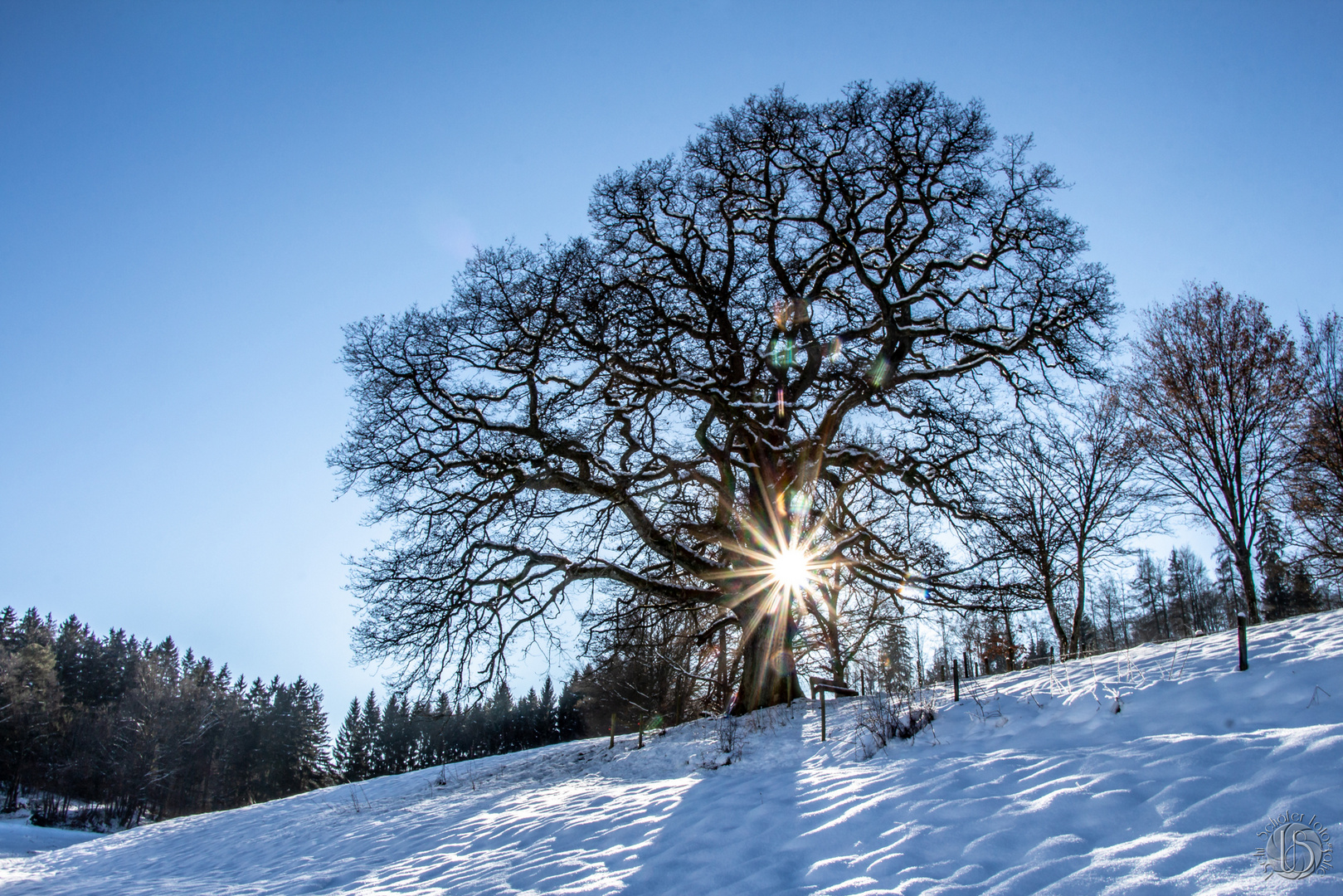 Winter in der Rhön Foto & Bild | jahreszeiten, winter, fotos Bilder auf ...