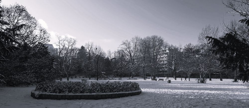 Winter in der Stadt Foto & Bild | landschaft, jahreszeiten, lebensräume ...