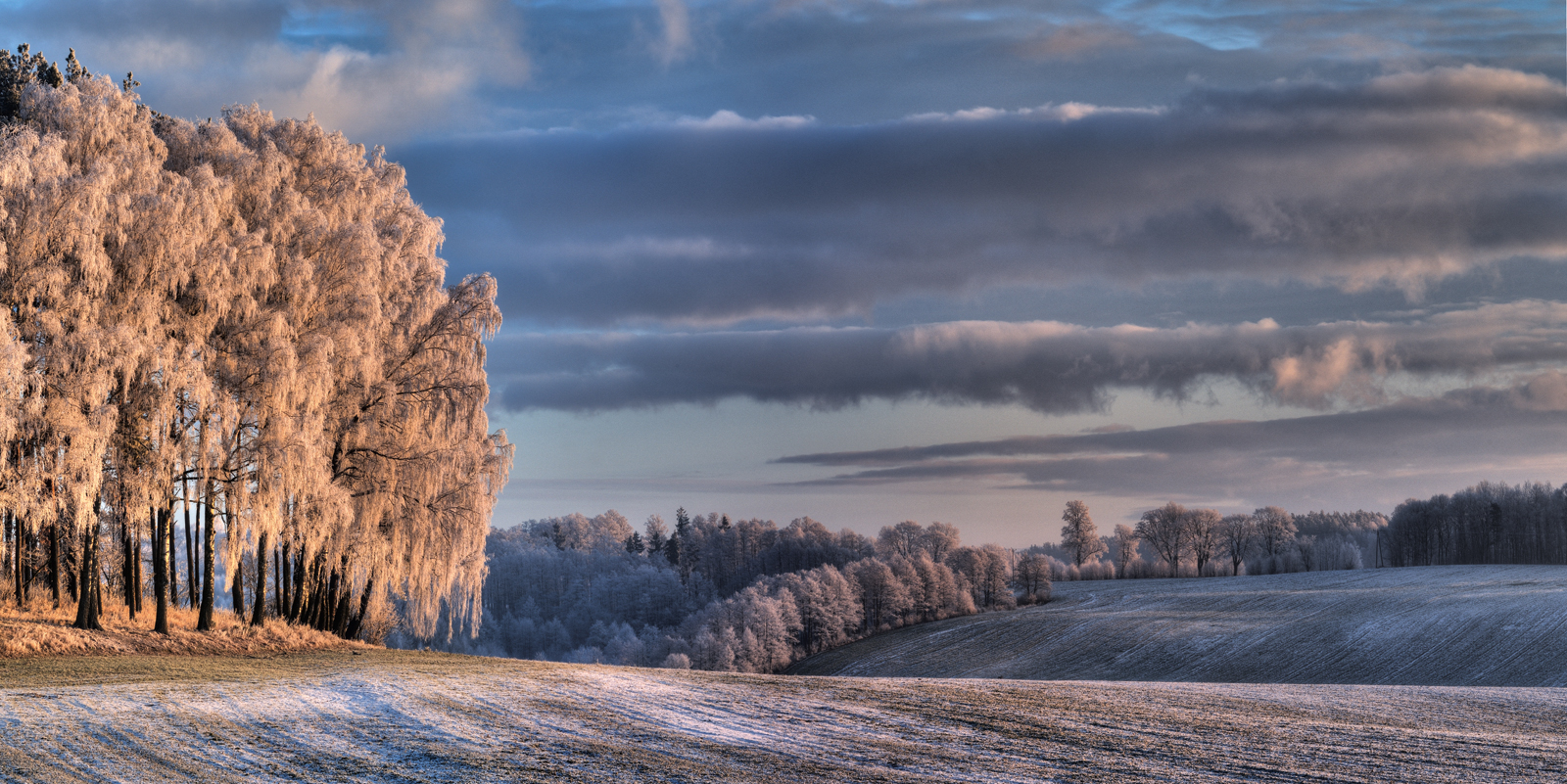 Winter in Ermland Foto & Bild | landschaft, winter, masuren Bilder auf ...