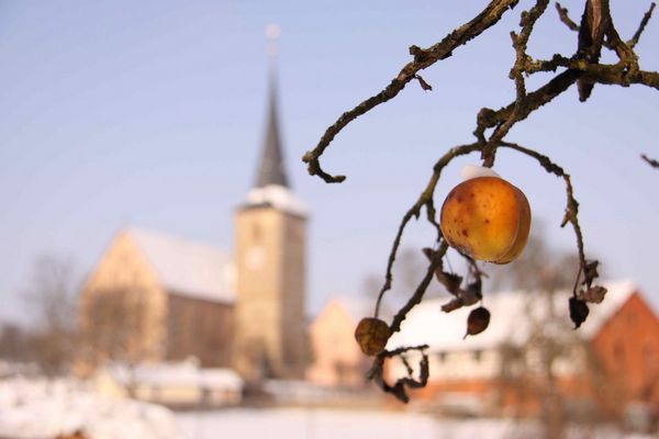 Matthias Mehl - Fotos & Bilder - Fotograf aus Hetzles | fotocommunity