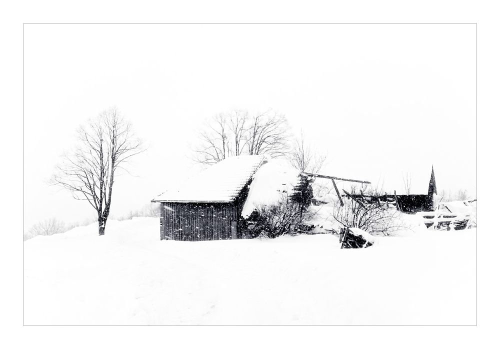 Winter in High Key Foto & Bild | landschaft, 2009, natur Bilder auf ...
