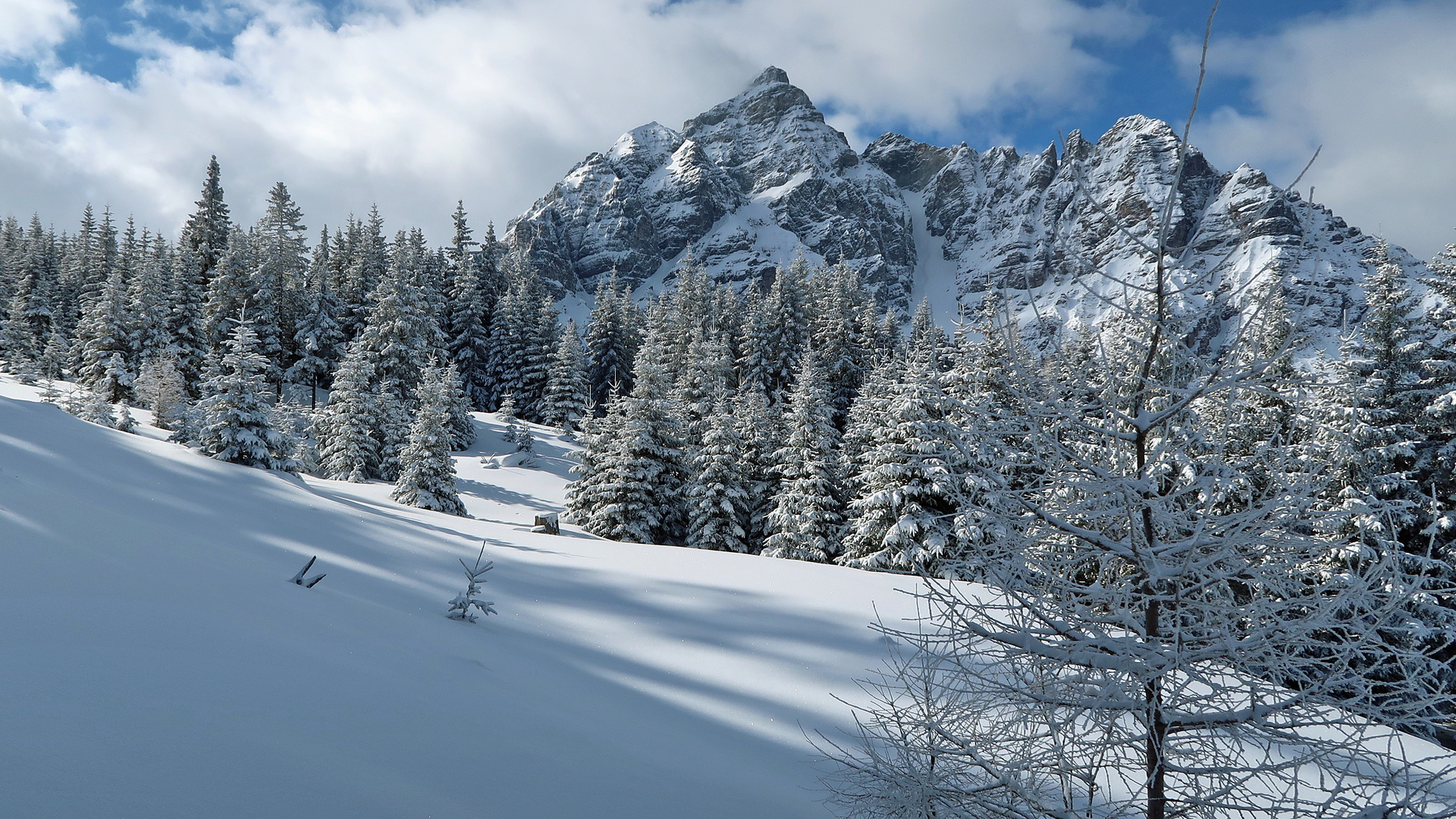 Winter in Tirol Foto & Bild | landschaft, jahreszeiten, winter Bilder auf fotocommunity