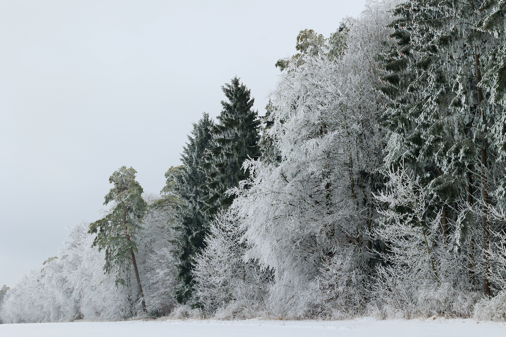 Winter in Winterlingen Foto & Bild | deutschland, europe, baden ...