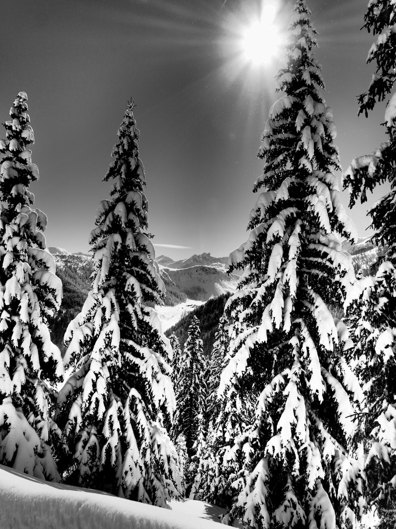 winter is back Foto & Bild | landschaft, berge, gipfel und grate Bilder ...