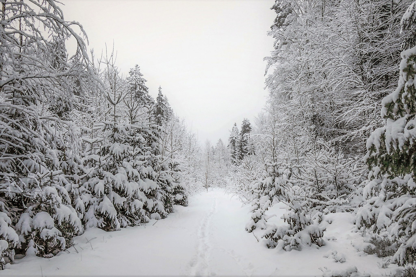* Winter is back * Foto & Bild | landschaft, jahreszeiten, winter ...